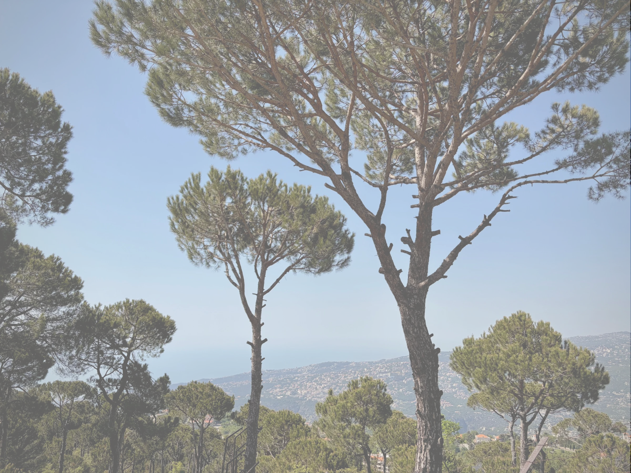 Basmé | Gatherings, Football, Padel & Senior Center in Mar Moussa